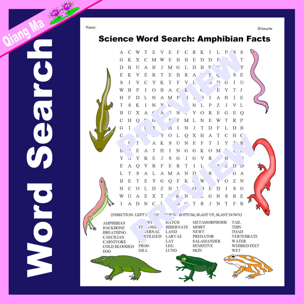 Science Word Search: Amphibian Facts | Made By Teachers