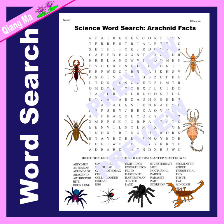 Science Word Search: Arachnid Facts | Made By Teachers