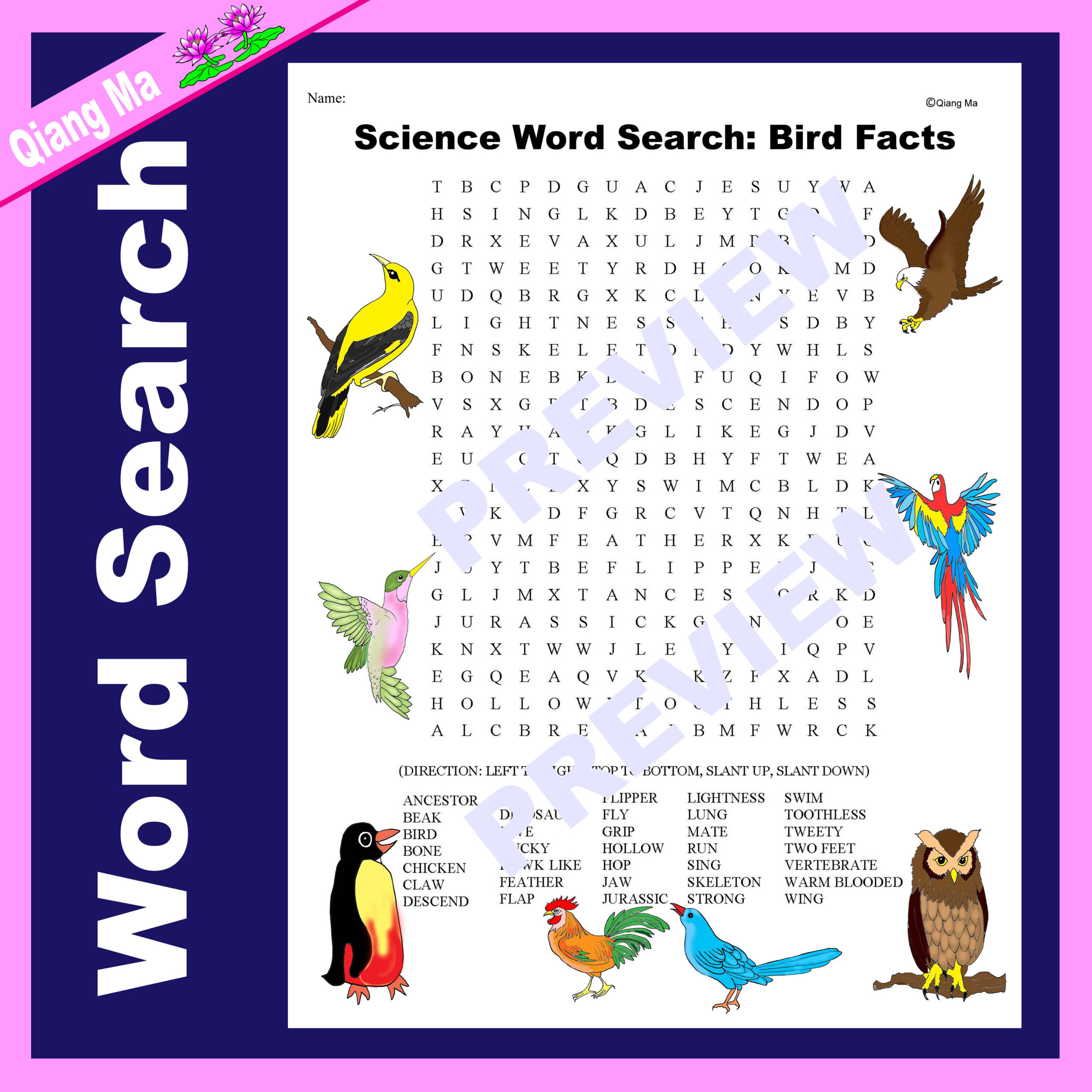 Science Word Search: Bird Facts | Made By Teachers