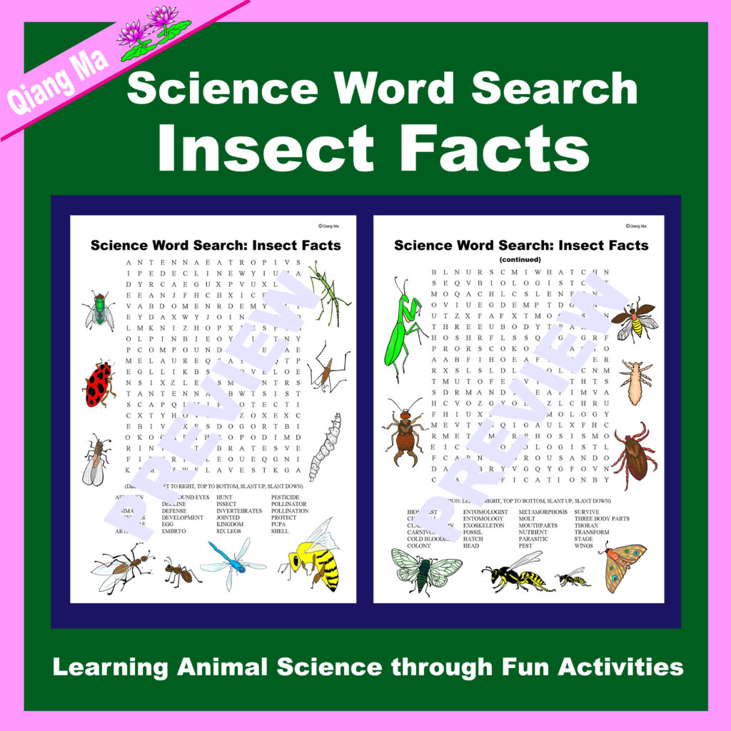 Science Word Search: Insect Names | Made By Teachers
