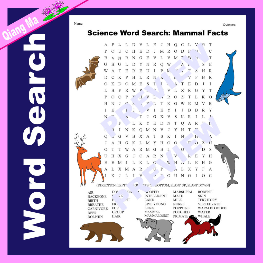 Science Word Search: Mammal Facts | Made By Teachers