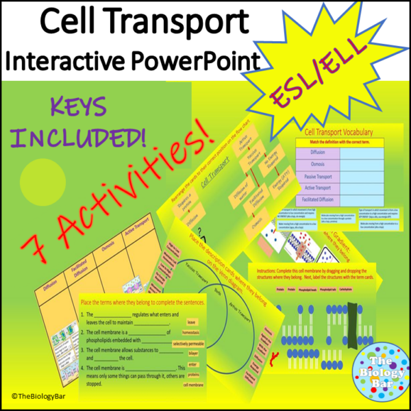 ESL Biology Cell Transport Interactive PPT | Made By Teachers