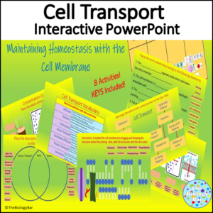 Cell Transport Interactive PowerPoint | Made By Teachers