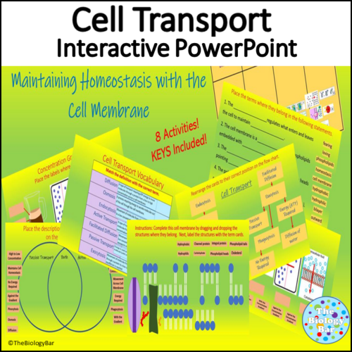 Cell Transport Interactive PowerPoint - Made By Teachers