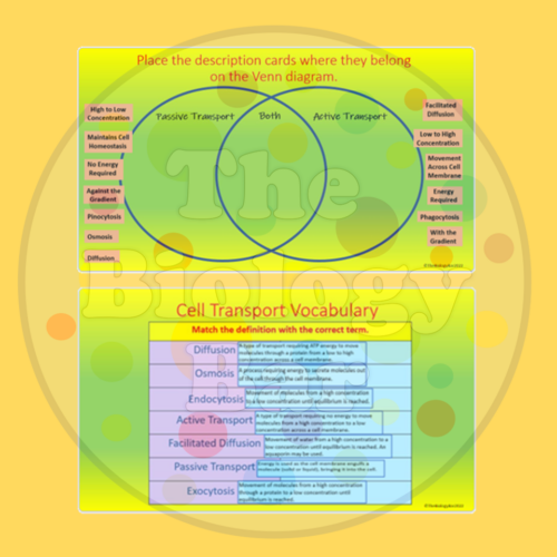 Cell Transport Interactive PowerPoint | Made By Teachers