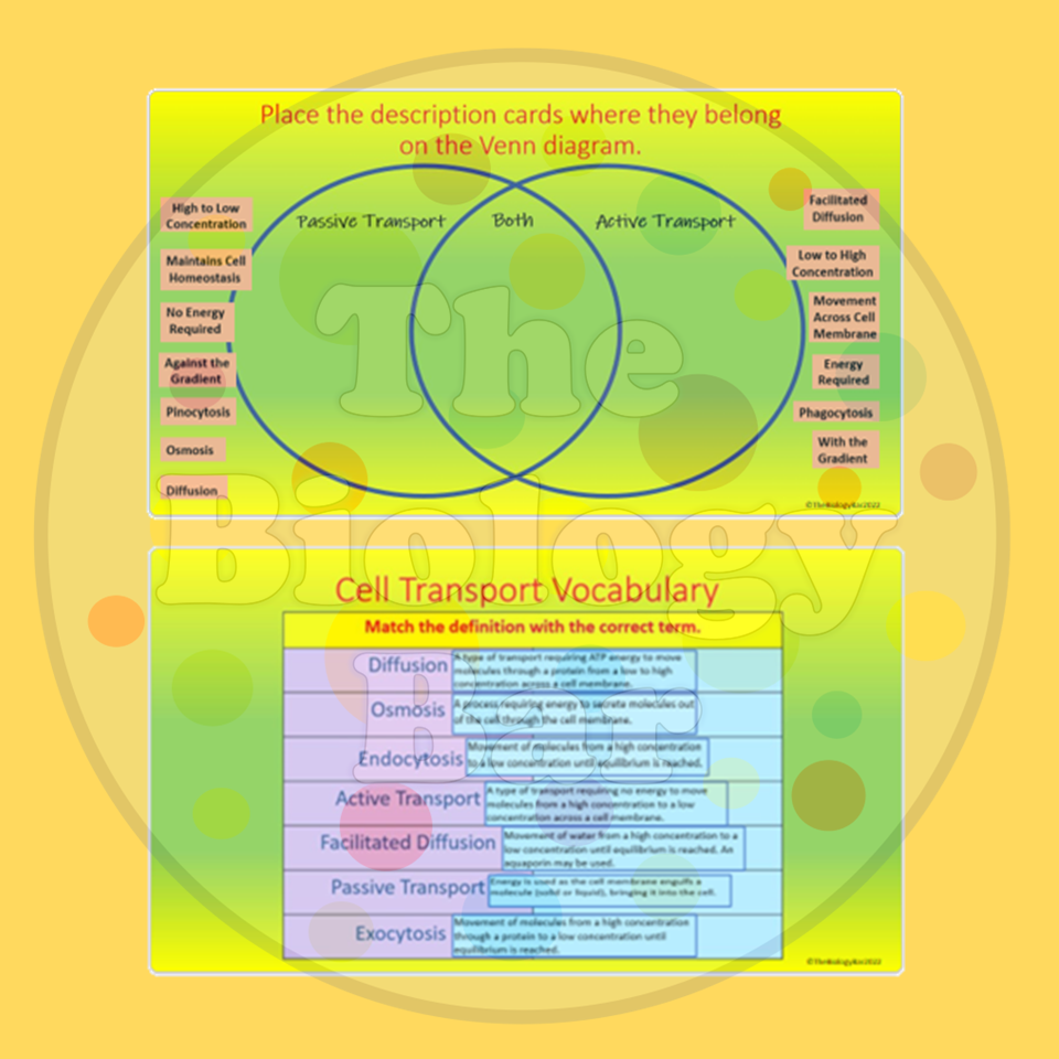 Cell Transport Interactive PowerPoint | Made By Teachers