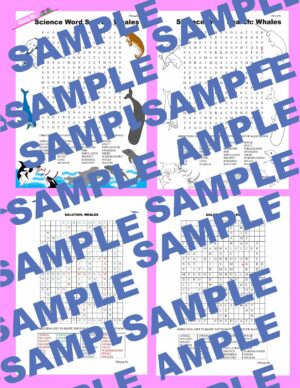 Science Word Search: Whales | Made By Teachers