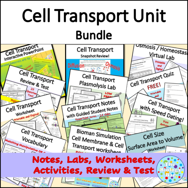 Cell Transport Biology Unit Bundle | Made By Teachers