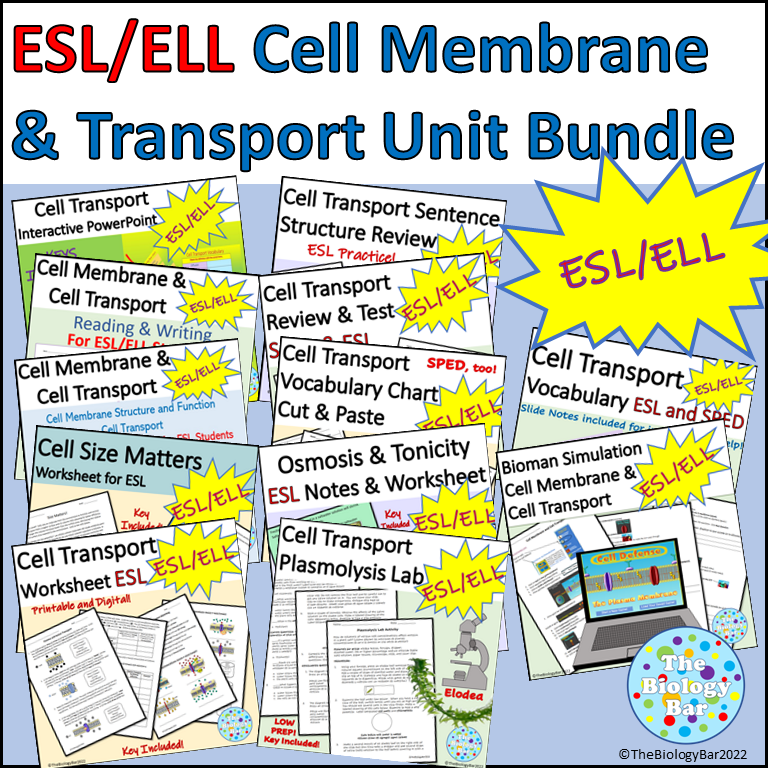 ESL Biology Cell Transport Unit Bundle | Made By Teachers