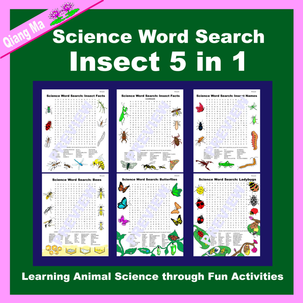 Science Word Search: Insect Mini Bundle | Made By Teachers