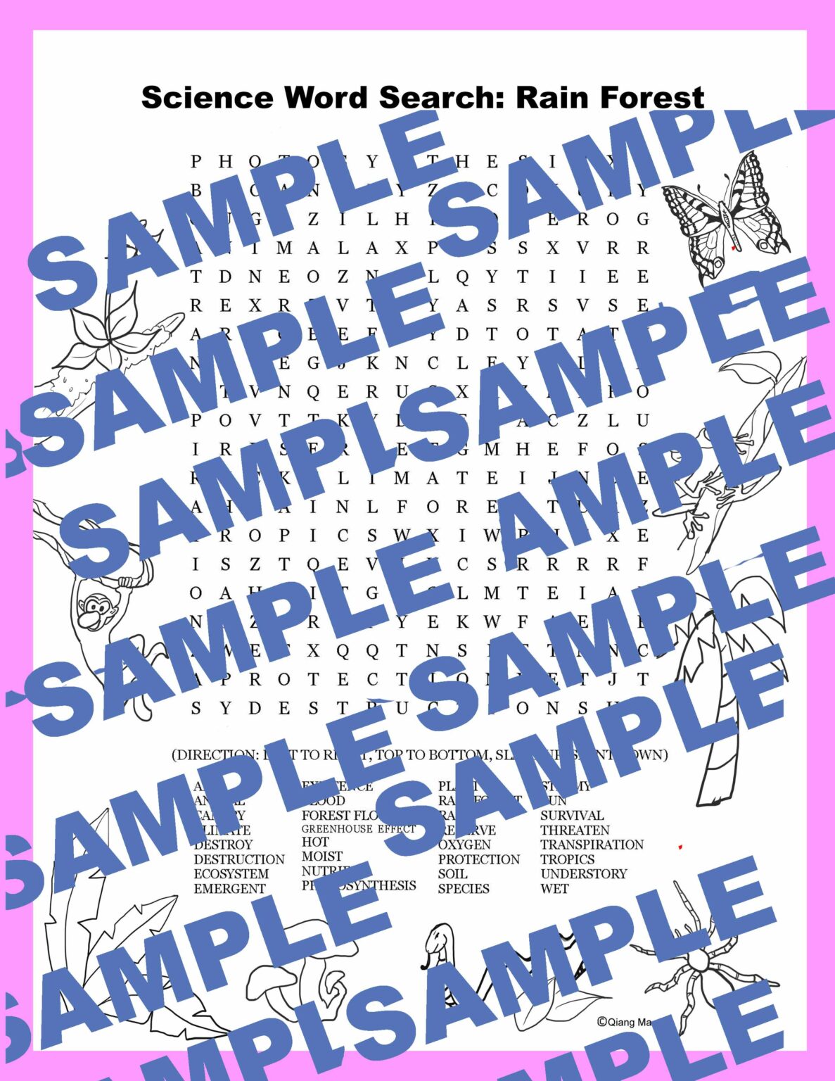 Science Word Search: Rain Forest | Made By Teachers