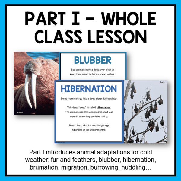 Elementary Library Lesson - Snow and Ice - Winter | Made By Teachers