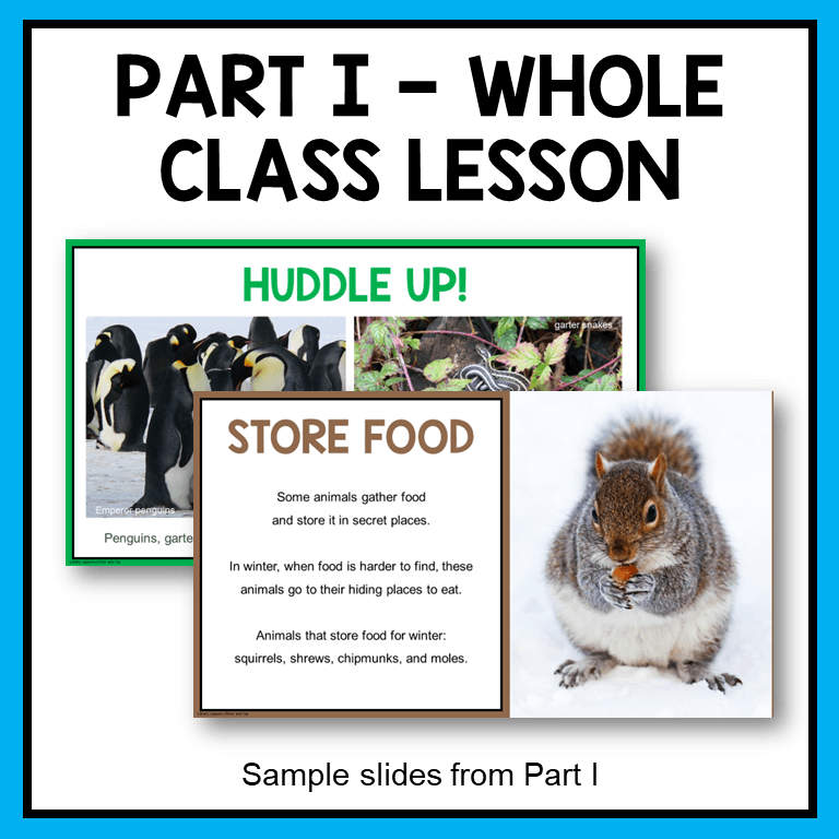 Elementary Library Lesson - Snow and Ice - Winter | Made By Teachers