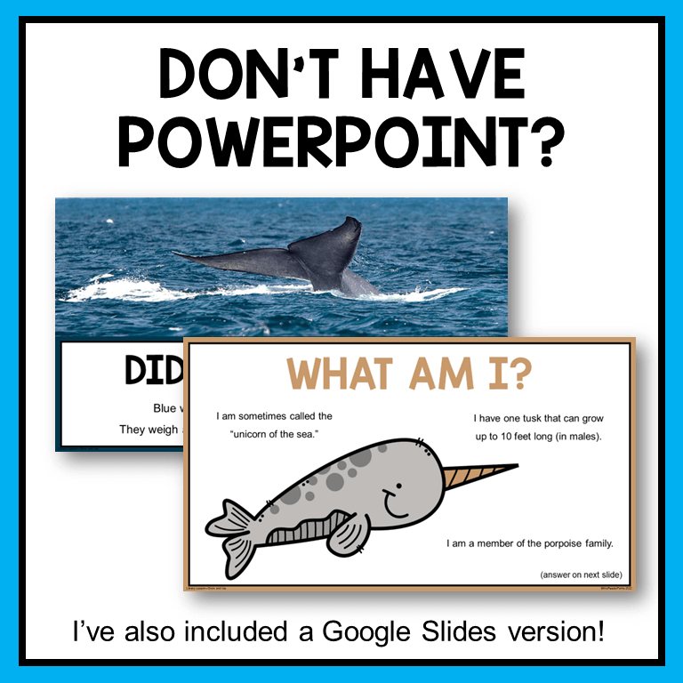 Elementary Library Lesson - Snow and Ice - Winter | Made By Teachers