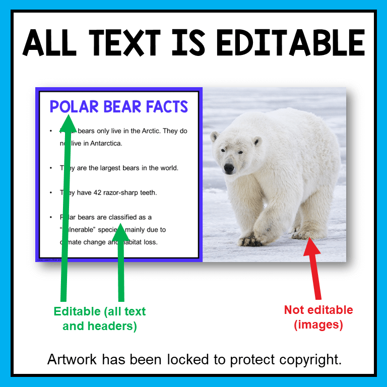 Elementary Library Lesson - Snow and Ice - Winter | Made By Teachers