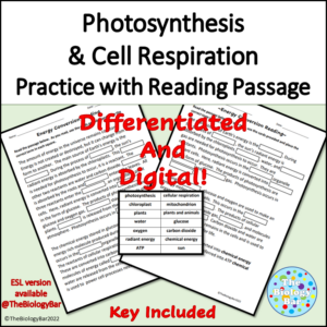 Photosynthesis and Cellular Respiration Reading Passage | Made By Teachers