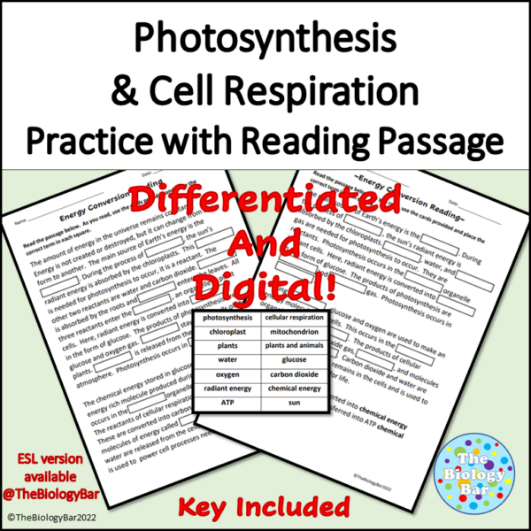Photosynthesis and Cellular Respiration Reading Passage | Made By Teachers