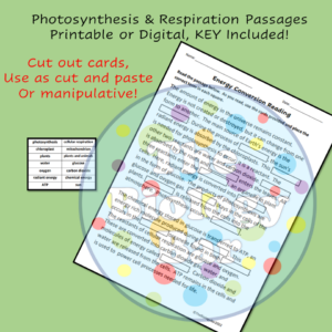 Photosynthesis and Cellular Respiration Reading Passage - Made By Teachers