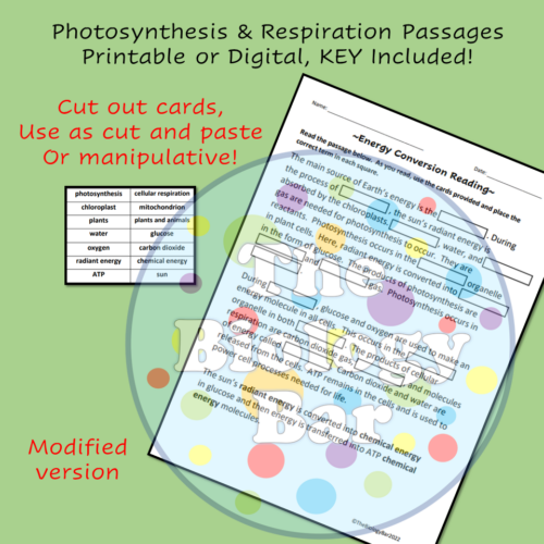 Photosynthesis and Cellular Respiration Reading Passage - Made By Teachers