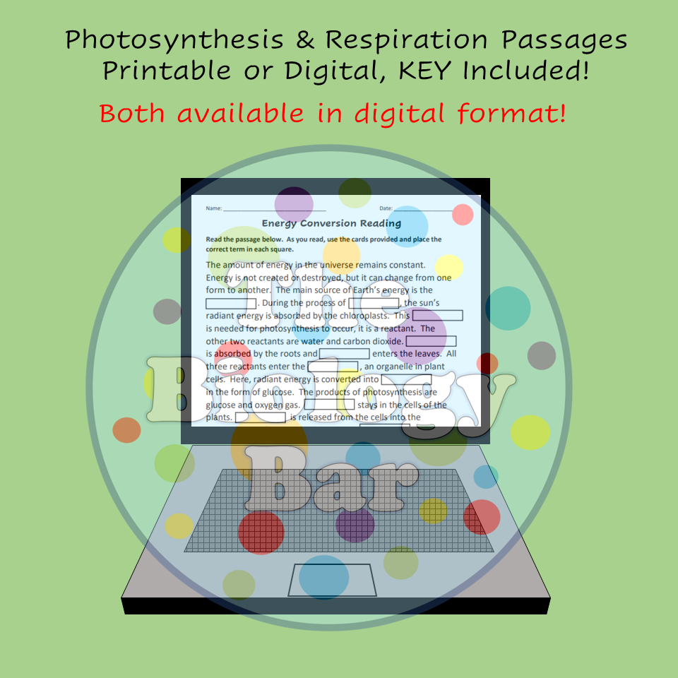 Photosynthesis and Cellular Respiration Reading Passage | Made By Teachers