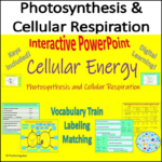 Photosynthesis and Cellular Respiration Interactive PowerPoint | Made ...