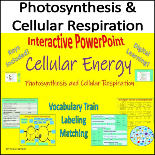 Photosynthesis and Cellular Respiration Interactive PowerPoint | Made ...