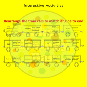 Photosynthesis and Cellular Respiration Interactive PowerPoint - Made ...