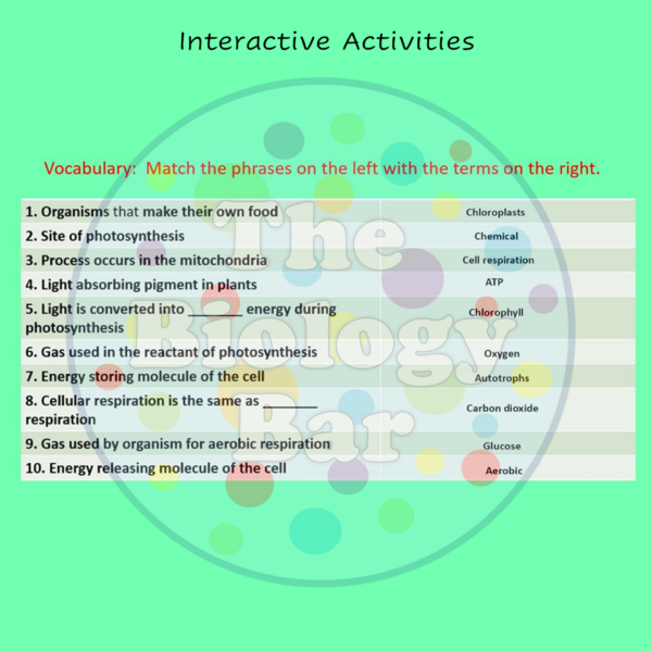 Photosynthesis and Cellular Respiration Interactive PowerPoint | Made ...