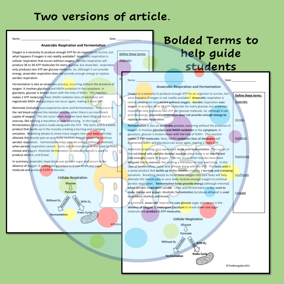Anaerobic Respiration and Fermentation Worksheet | Made By Teachers