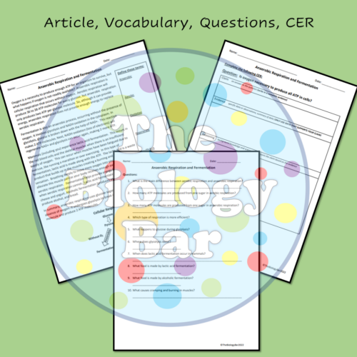 Anaerobic Respiration and Fermentation Worksheet | Made By Teachers