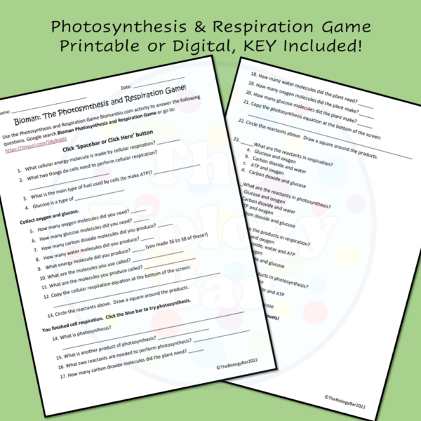 Photosynthesis Cellular Respiration Bioman Simulation Worksheet