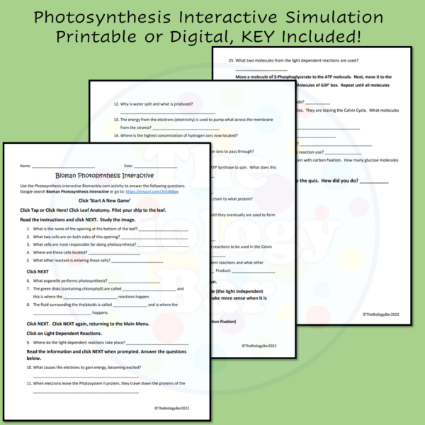 Photosynthesis Cellular Respiration Bioman Simulation Worksheet