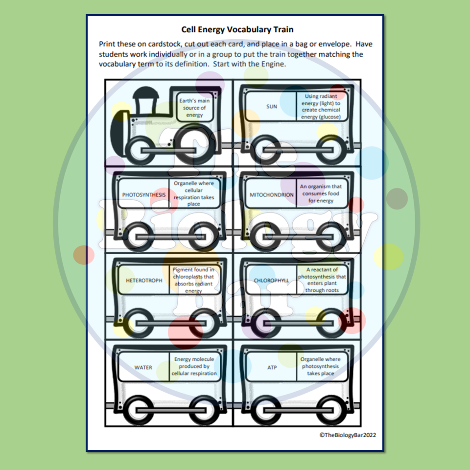 Photosynthesis & Cellular Respiration Vocabulary Train | Made By Teachers