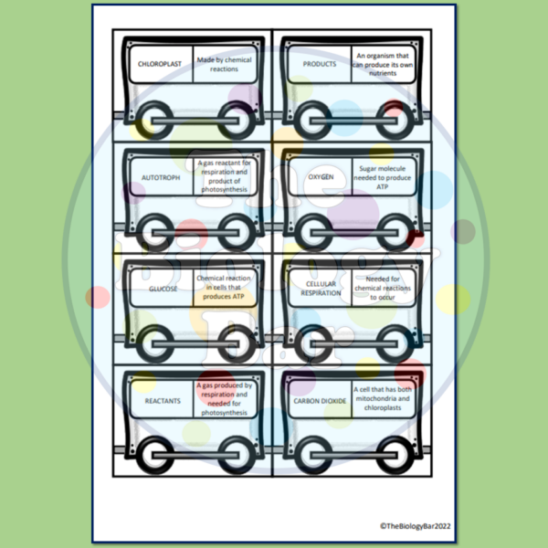 Photosynthesis & Cellular Respiration Vocabulary Train | Made By Teachers