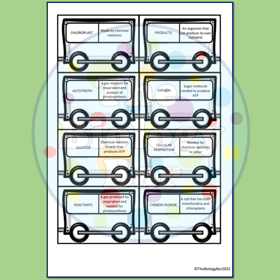 Photosynthesis & Cellular Respiration Vocabulary Train | Made By Teachers