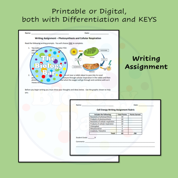 Photosynthesis & Cellular Respiration Worksheet Set of 5 | Made By Teachers