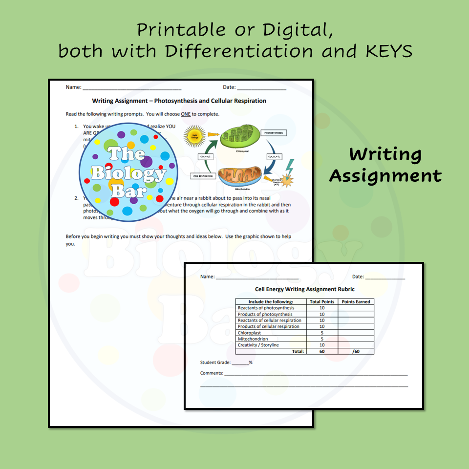 Photosynthesis & Cellular Respiration Worksheet Set of 5 | Made By Teachers