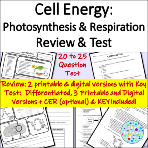 Photosynthesis & Cellular Respiration Review and Test | Made By Teachers