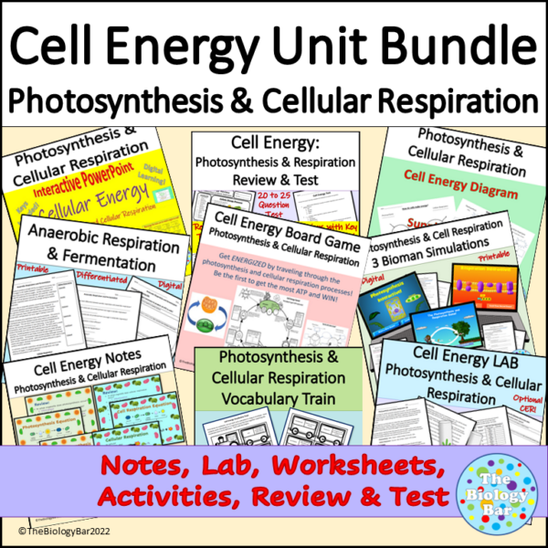 Photosynthesis & Cellular Respiration Biology Unit Bundle | Made By ...