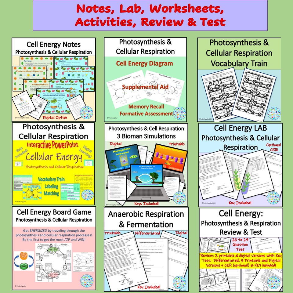 Photosynthesis & Cellular Respiration Biology Unit Bundle | Made By ...