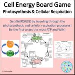 Photosynthesis & Cellular Respiration Cycle Game - Made By Teachers