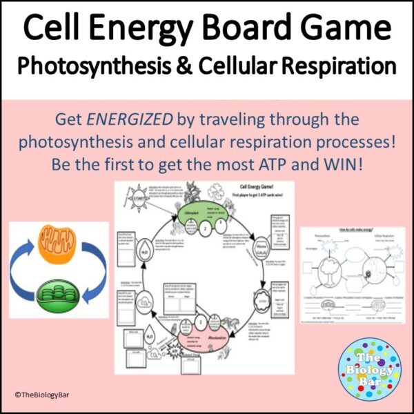 Photosynthesis & Cellular Respiration Cycle Game - Made By Teachers