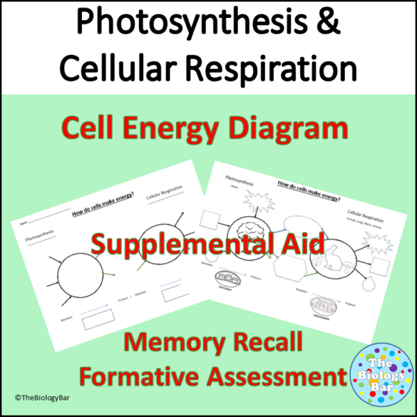 Photosynthesis & Cellular Respiration Memory Aid | Made By Teachers