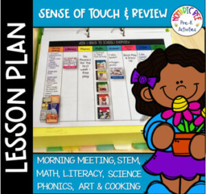 Sense of Touch Lesson Plan | Made By Teachers