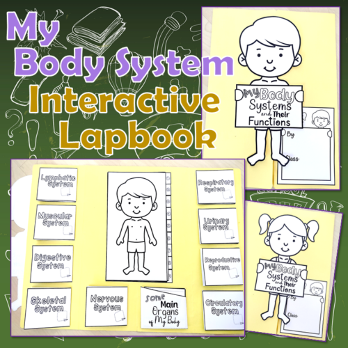 Human Body System and Some Main Organs Lapbook | Made By Teachers