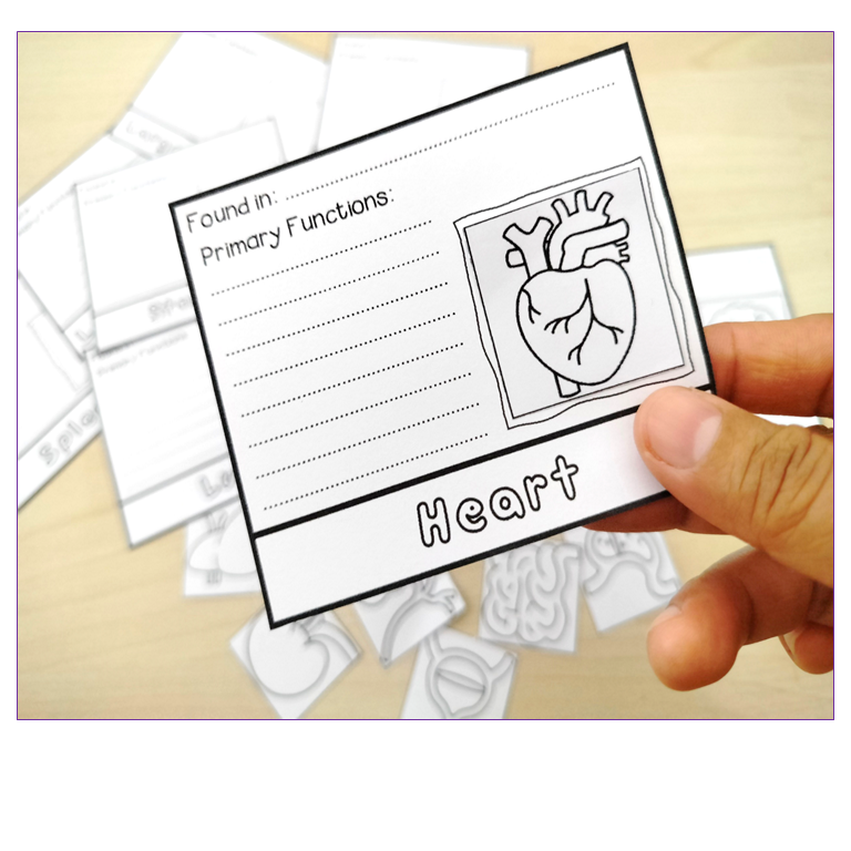 Human Body System and Some Main Organs Lapbook | Made By Teachers