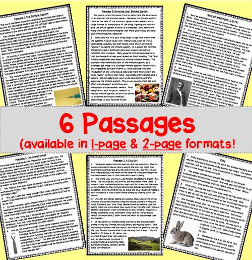 5th Grade ELA Practice State Test #2 | Made By Teachers