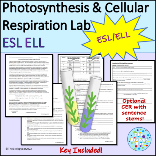 ESL Biology Photosynthesis and Cellular Respiration Lab | Made By Teachers