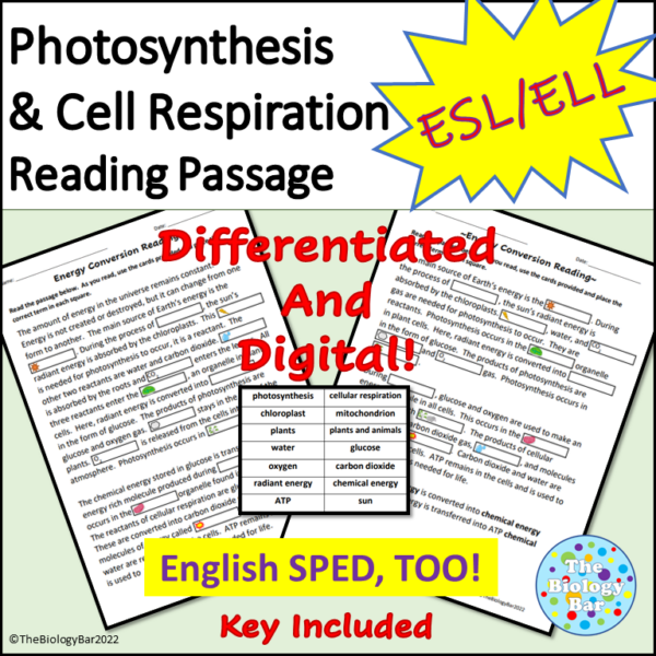 ESL Biology Photosynthesis and Cellular Respiration Reading Passage ...