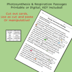 ESL Biology Photosynthesis and Cellular Respiration Reading Passage ...